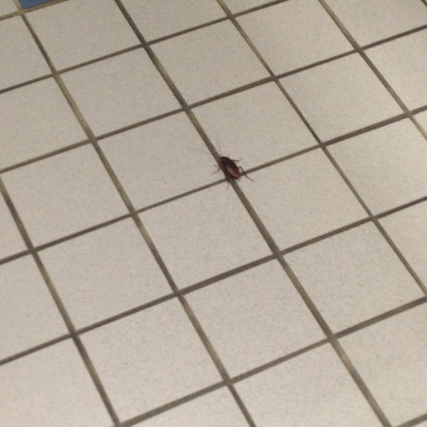 Photos at LCC Gannon Building - College Academic Building in Lansing