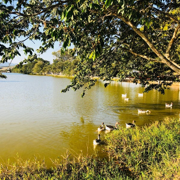 Parque do lago - 2 tips from 41 visitors