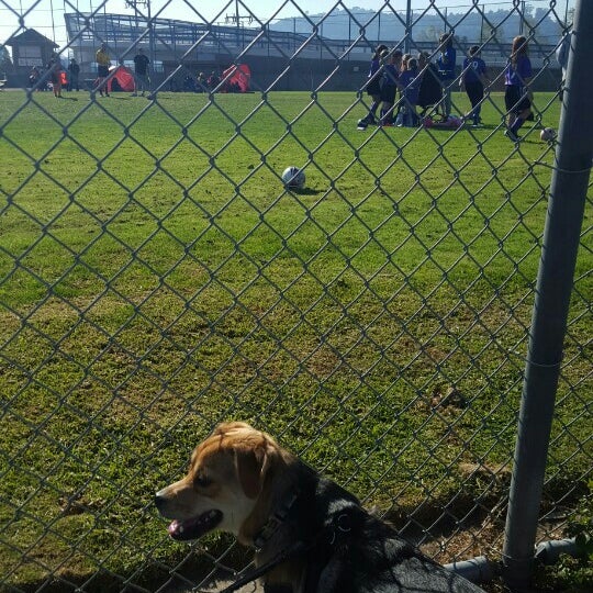 Photos at Belmont Sports Complex - Baseball Field in Belmont