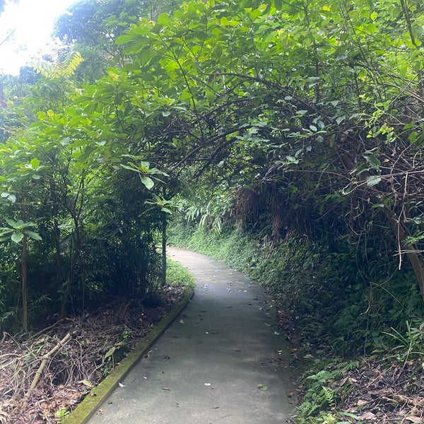 Chatham Path - Road in 山顶