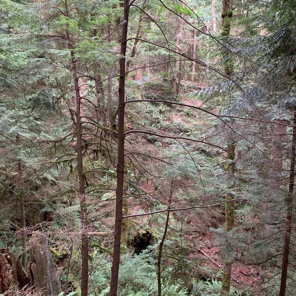 Photos at Squak Mountain State Park - 4 tips