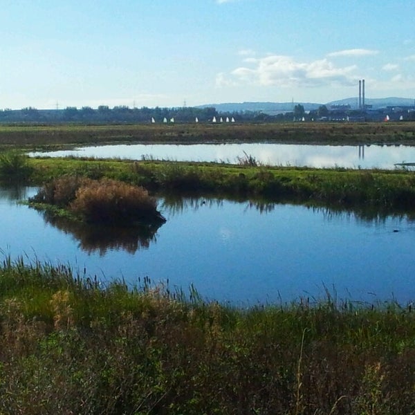 RSPB Burton Mere - 2 tips from 56 visitors