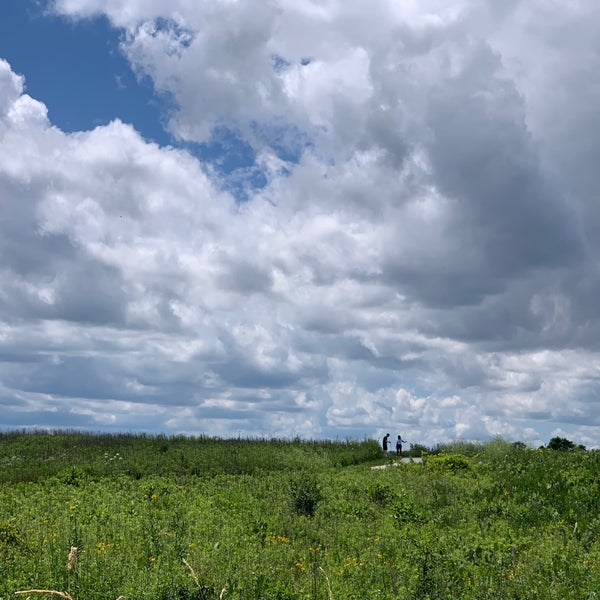 Springbrook Prairie Forest Preserve - 29 tips from 579 visitors