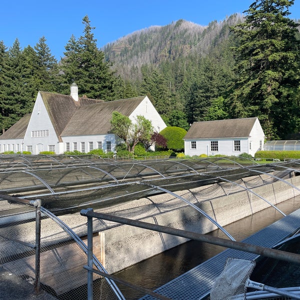 Bonneville Fish Hatchery - Other Great Outdoors