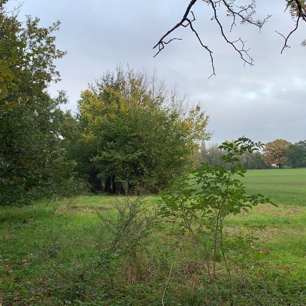 Tooting Bec Common - Park in London