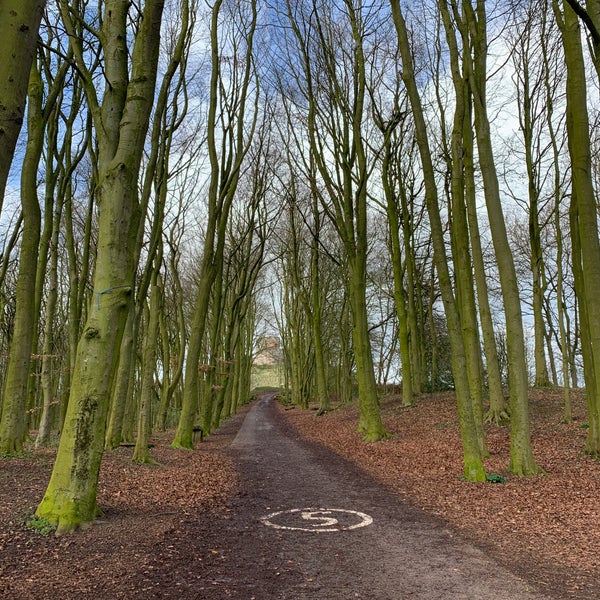 Stafford Castle - 8 tips from 241 visitors