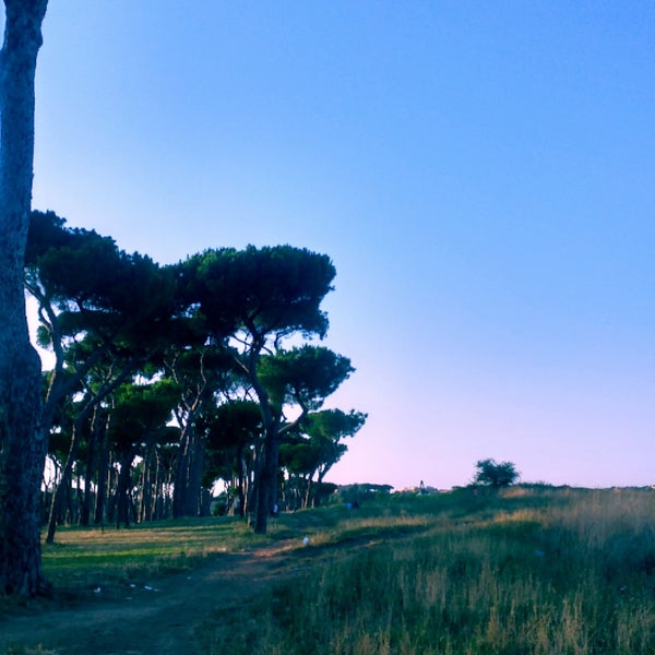 Parco Regionale Del Pineto - Park in Primavalle