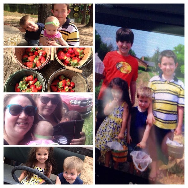 Photos at Efurd's Peach Orchard - 3 tips from 90 visitors