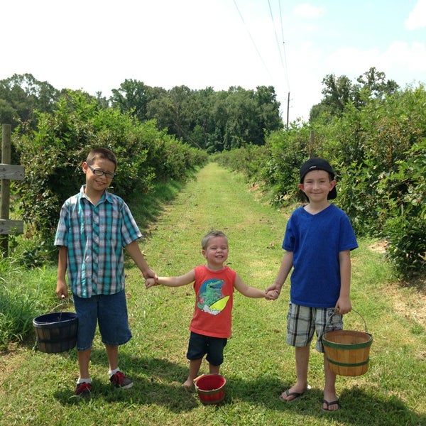 Photos at Efurd's Peach Orchard - 3 tips from 90 visitors
