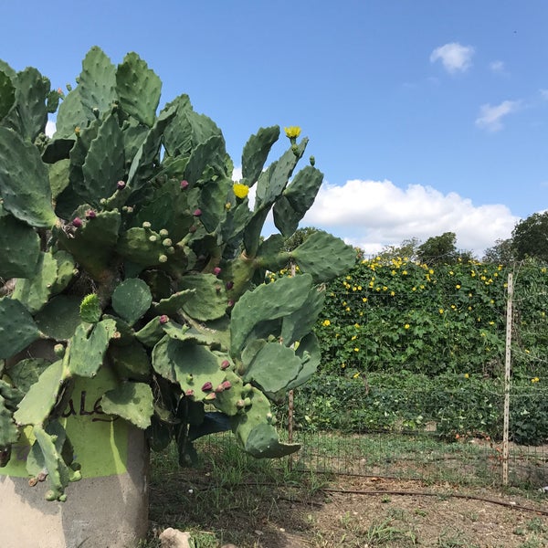 Springdale Farm - 13 tips from 458 visitors