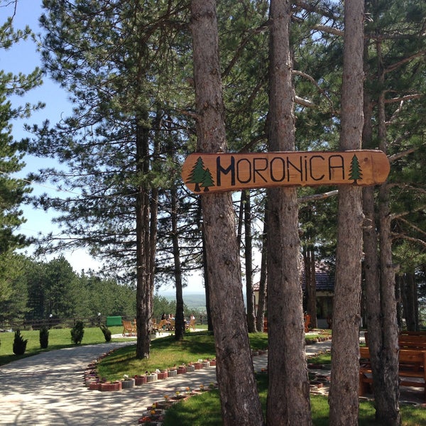 Moronica - 1 tip from 23 visitors