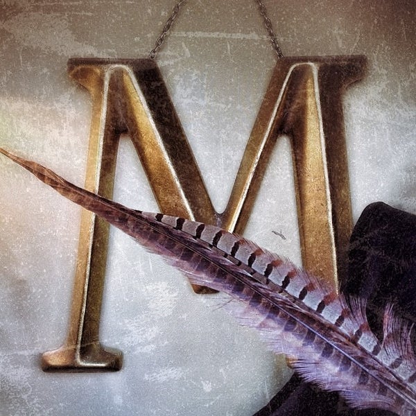 Scrivenshafts Quill Shop - Orlando, FL