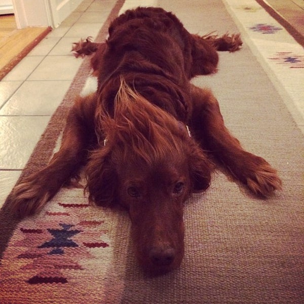 Laröd - Laröd, Skåne län