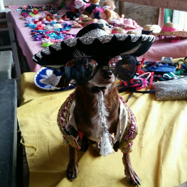 Photos at Alamo Flea Market - 1602 W Expressway 83