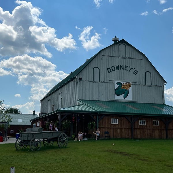Downey's farm - Farm in Caledon