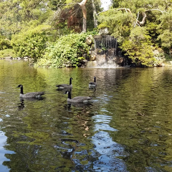 Point Defiance Duck Pond - West End - 5910 N Waterfront Dr