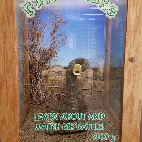 Wikieup Trading Post - Fuel Station in Wikieup