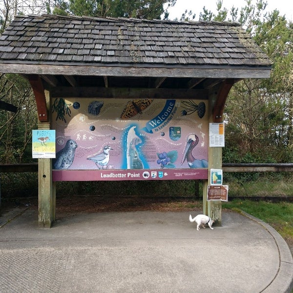 Photos at Leadbetter Point State Park - State Route 103