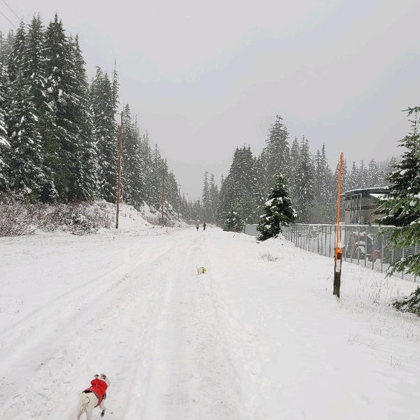 Iron Horse State Park (Hyak trailhead) - 3 tips