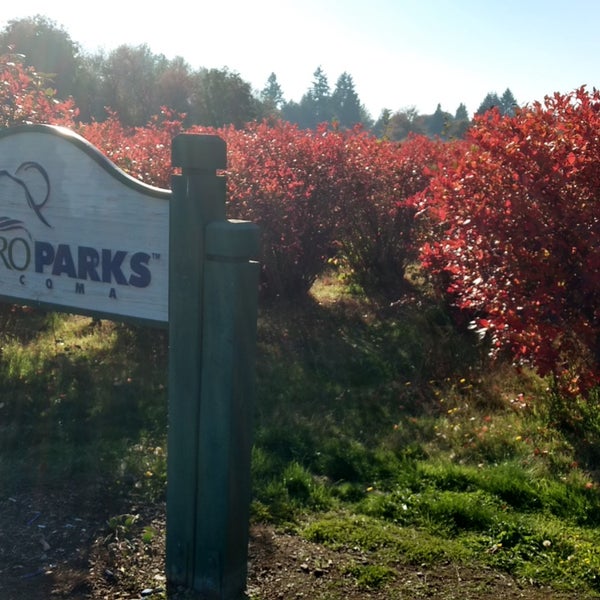 Blueberry Park - Park in Tacoma
