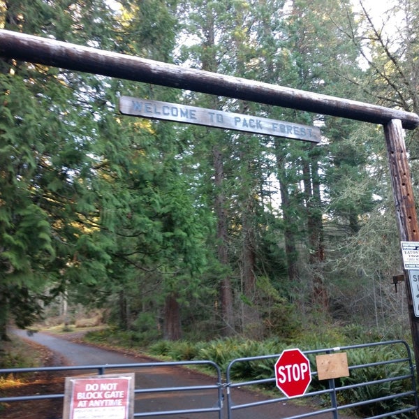 Pack Forest - Forest in Eatonville