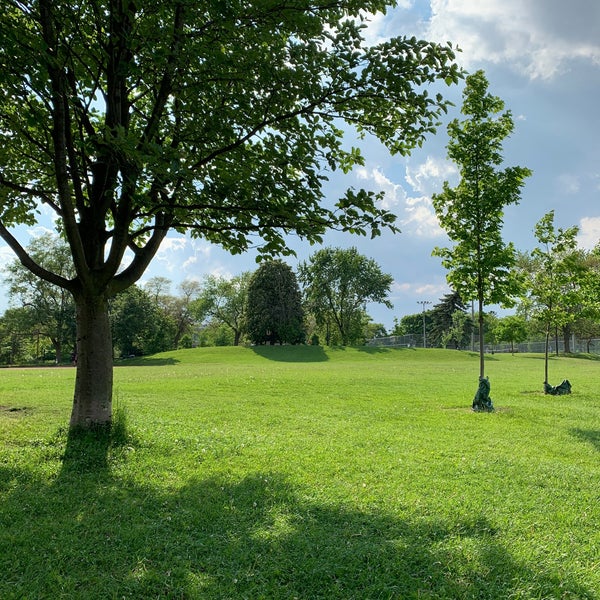 Cedarvale Park - Field