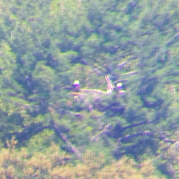 Norrie Point Environmental Center - Park