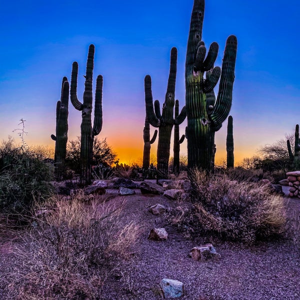 Photos at Gilbert Riparian Preserve at Water Ranch - Gilbert, AZ