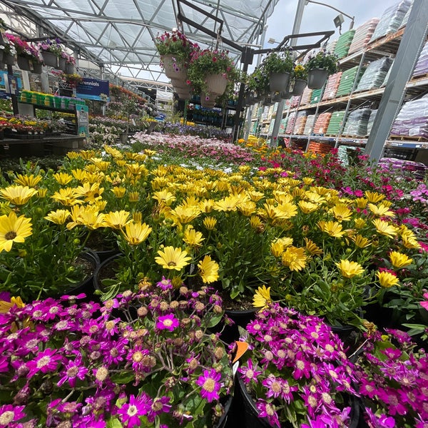 Lowe's - Rancho Santa Margarita, CA