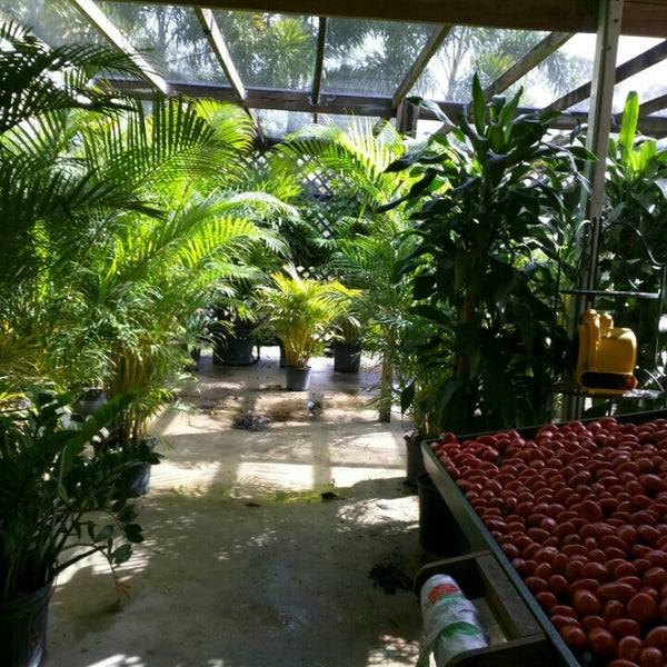 Farmer's Daughter Produce & Plants - 13415 Southern Blvd