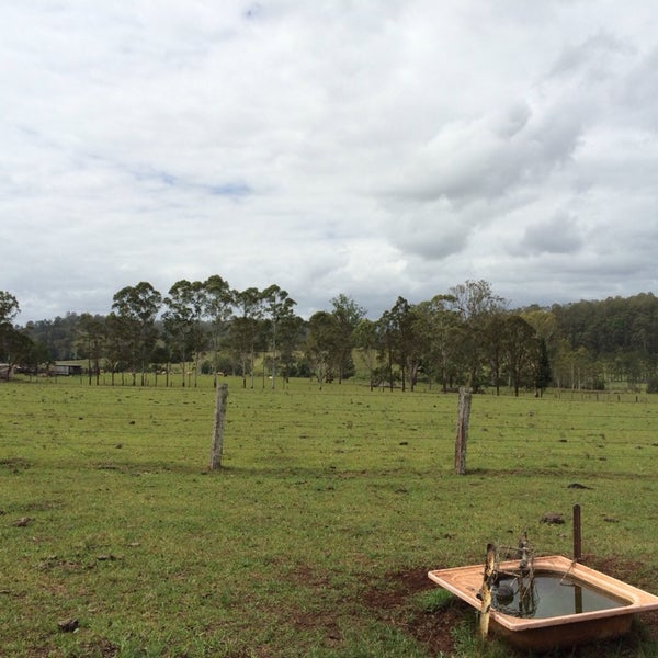 Kyogle - Neighborhood