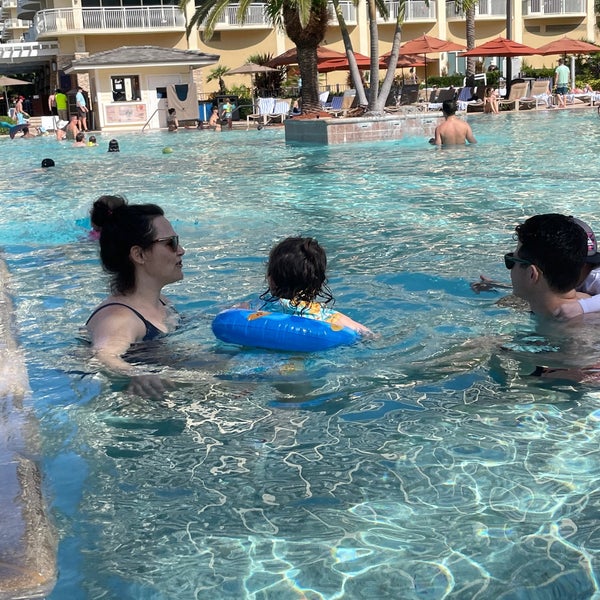 Pool at Marco Island Marriott - Swimming Pool