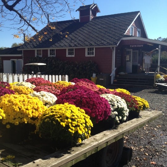 Terhune Orchards - 69 tips from 3027 visitors