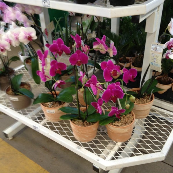 Photos at Lowe's - Rochester, NY
