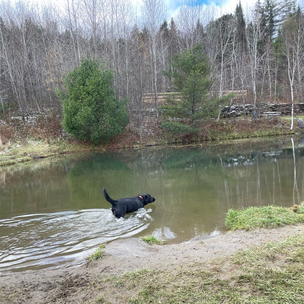 Dog Mountain - 4 tips