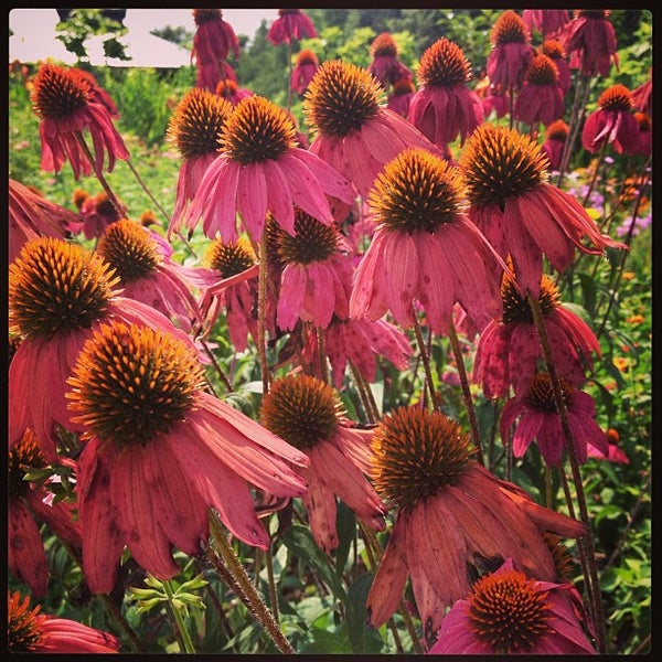 BREC Botanic Gardens - Mid City South - Baton Rouge, LA