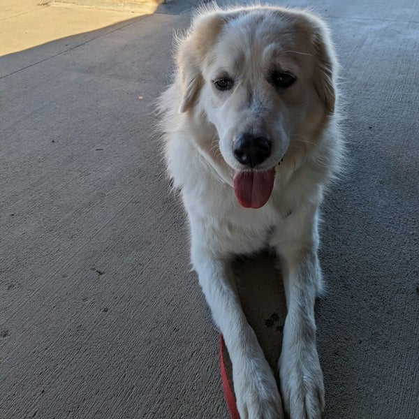 Daniels Park - 7292 County Road 36