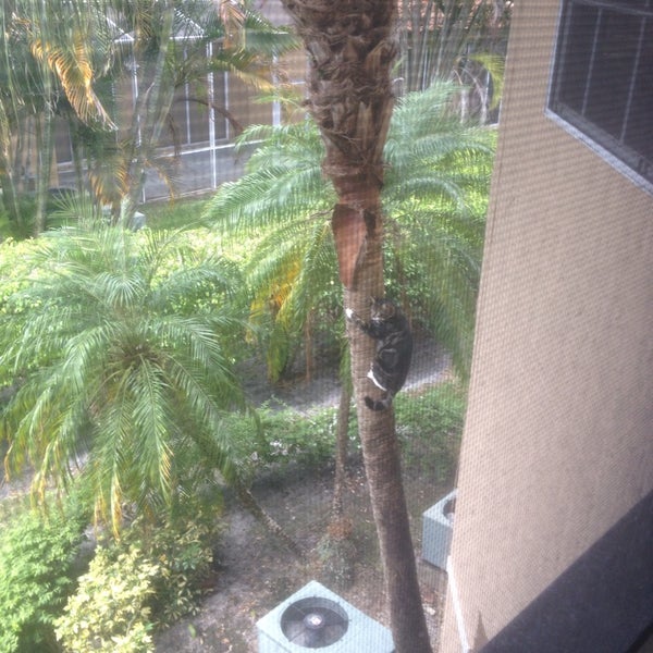 Local 14 Insulators Union Hall - Northeast Philadelphia - Philadelphia, PA