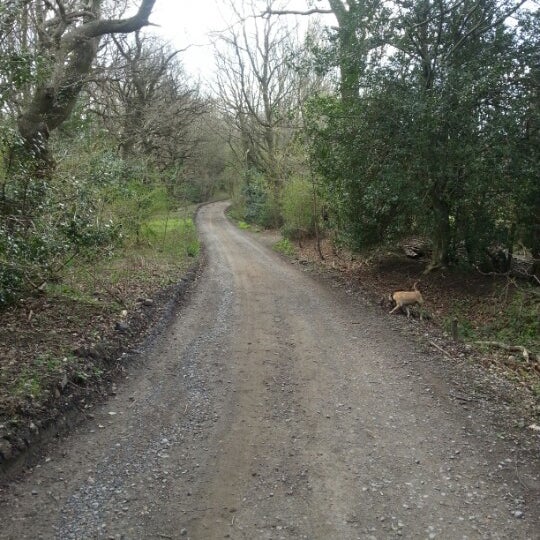 Photos at Durham University Bill Bryson Library - College Library in Durham