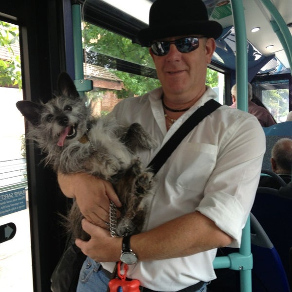 TfL Bus 81 - London, Greater London