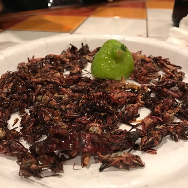 Muy Macho - Mexican Restaurant in South Park