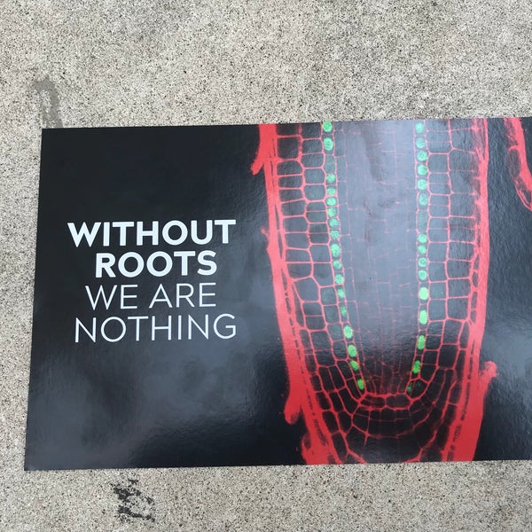 Esther Klein Gallery - University City - 1 conseil