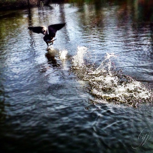 ForMar Nature Preserve & Arboretum - Park in Burton