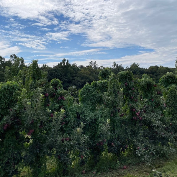 Highland Orchards - Farmers Market in West Chester