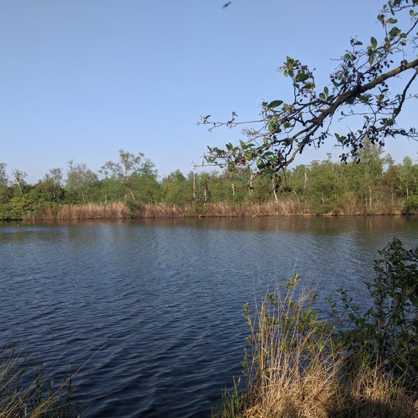 de Haeck - 37 visitors