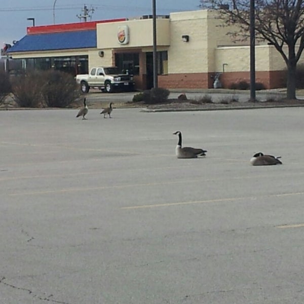 Photos at Target - Champaign, IL