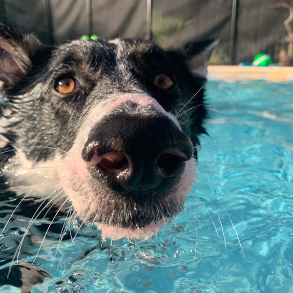 Wescott Plantation - 5 tips from 380 visitors