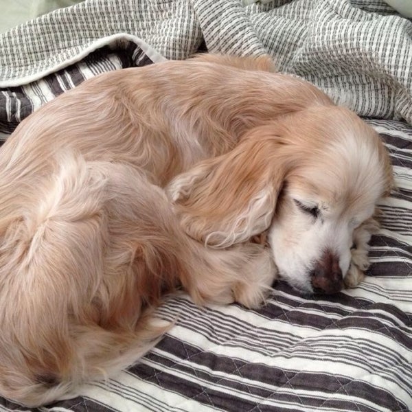 Photos at Neptune Beach Elementary School - Elementary School