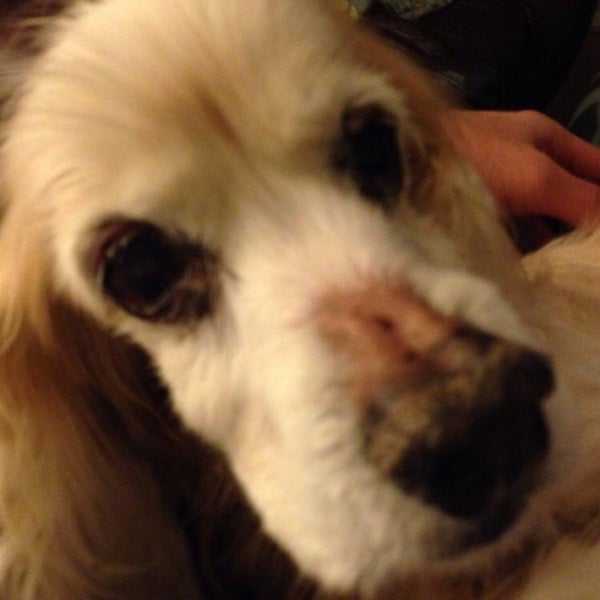 Photos at Neptune Beach Elementary School - Elementary School