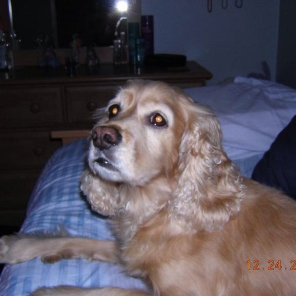 Photos at Neptune Beach Elementary School - Elementary School